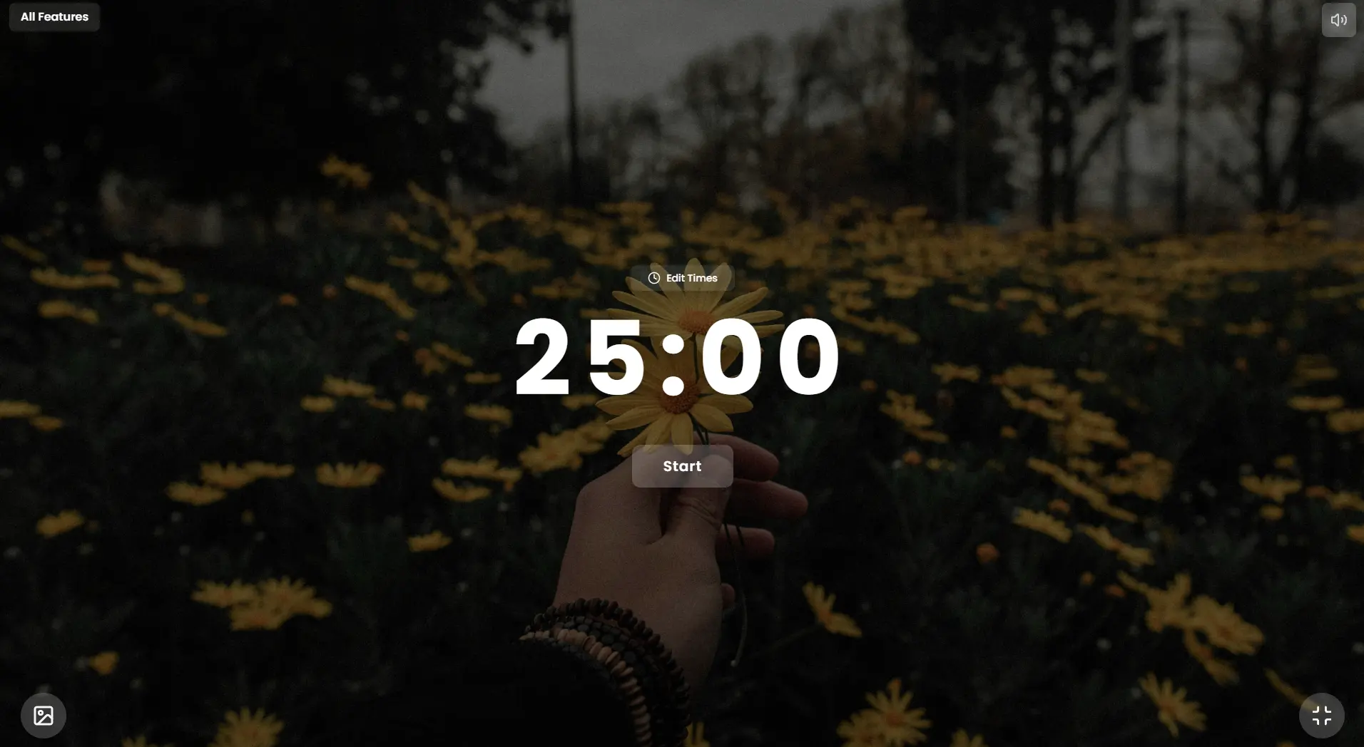 Cram & Conquer | Pomodoro Cat Timer